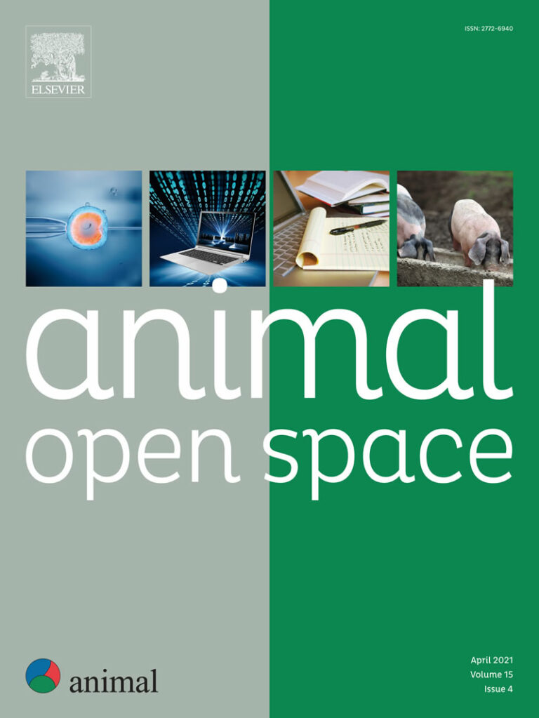 animal – open space – animal Journal